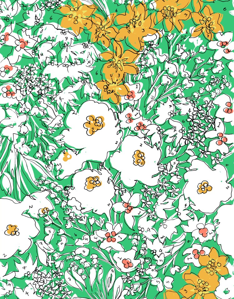 COLOUR BY NUMBERS – Rachel Firth